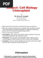 Chloroplast Labelled A Level Diagram | PDF | Chloroplast | Cell (Biology)