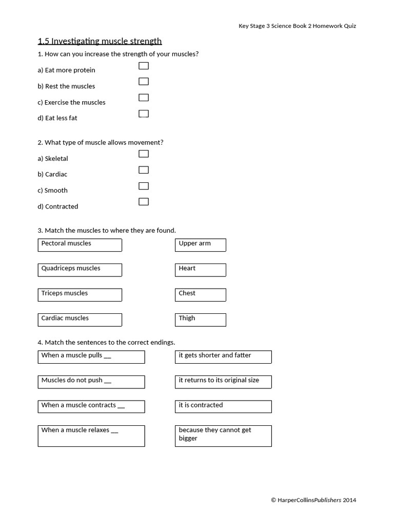 Easy Muscle System Quiz | PDF