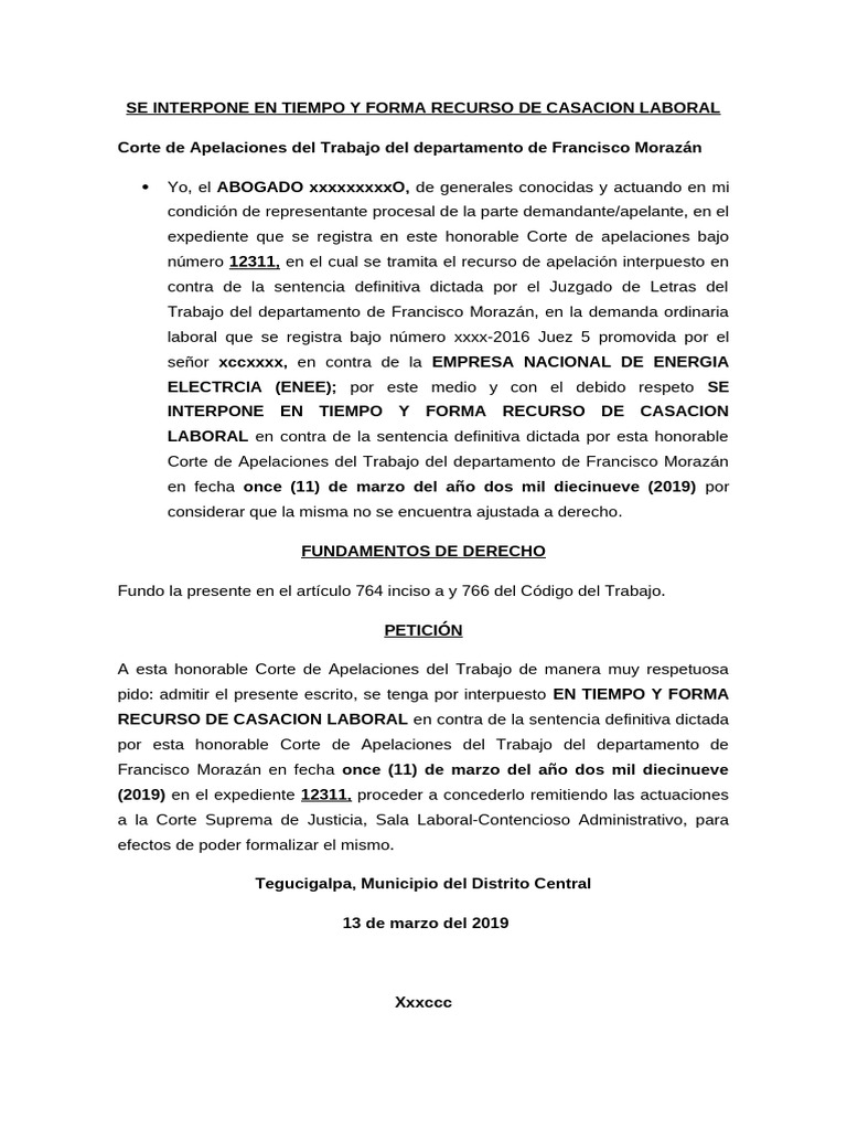 Formato Casacion | PDF