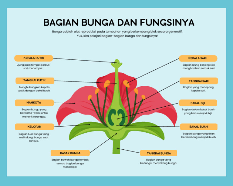 Bagian Bunga Dan Fungsinya Poster Biru Dan Oren Sederhana | PDF