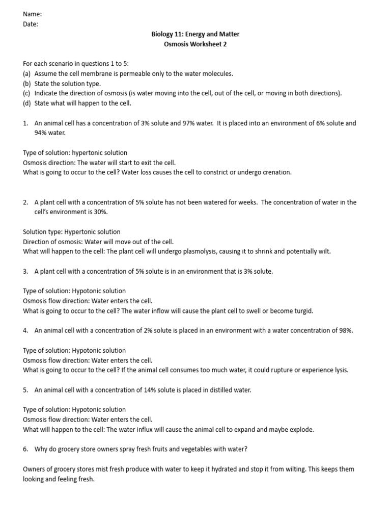Juanjo Olaya Martinez - 22. Osmosis Practice Worksheet 2 | PDF ...