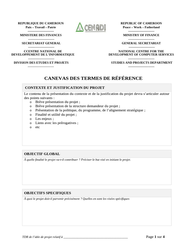 Canevas des Termes de Référence | PDF | Consultant