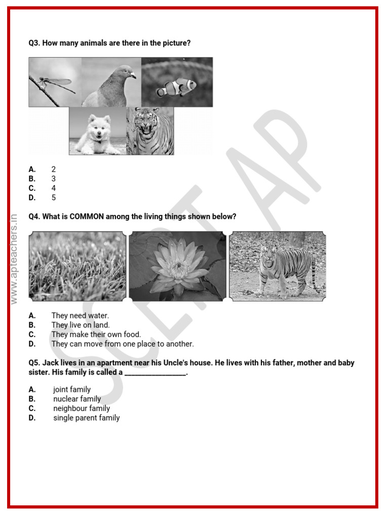 Set-2 Class-6 | PDF