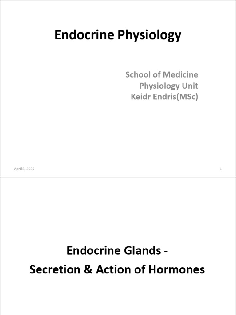 Endocrine System: Hormones & Functions | PDF | Hypothalamus | Hormone