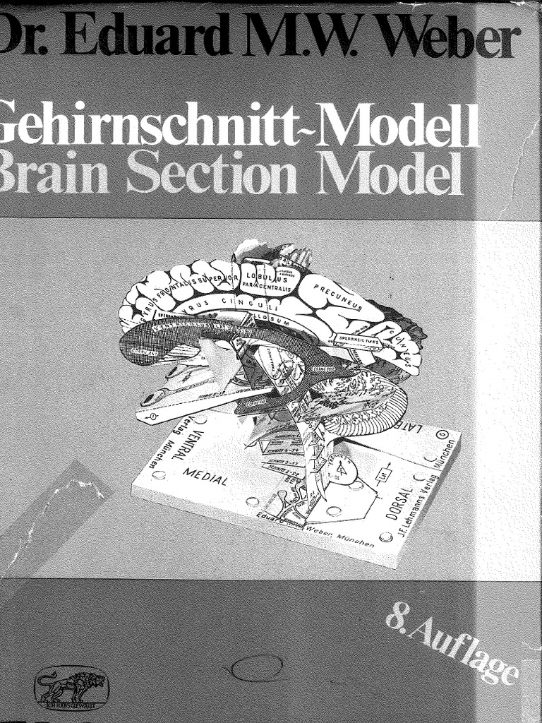 EduardMWWeber Brain Model BNW | PDF