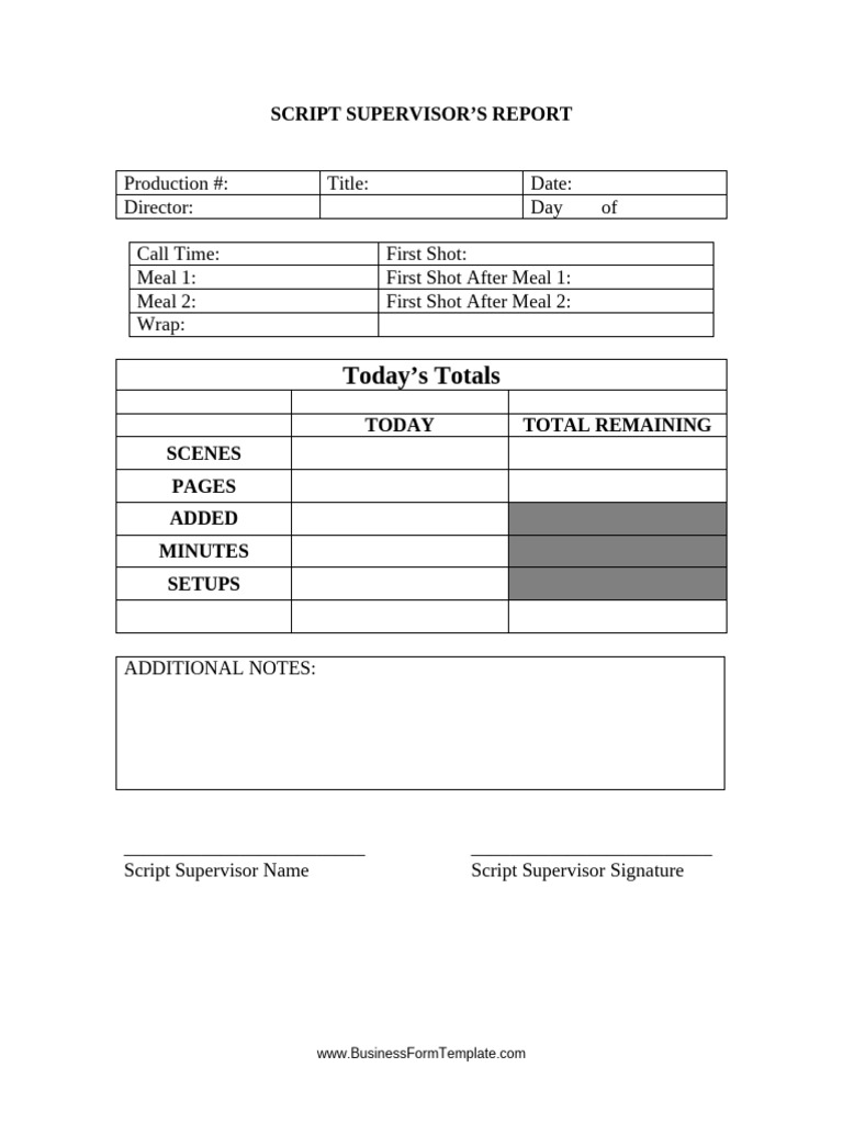 Script Supervisor Daily Report | PDF