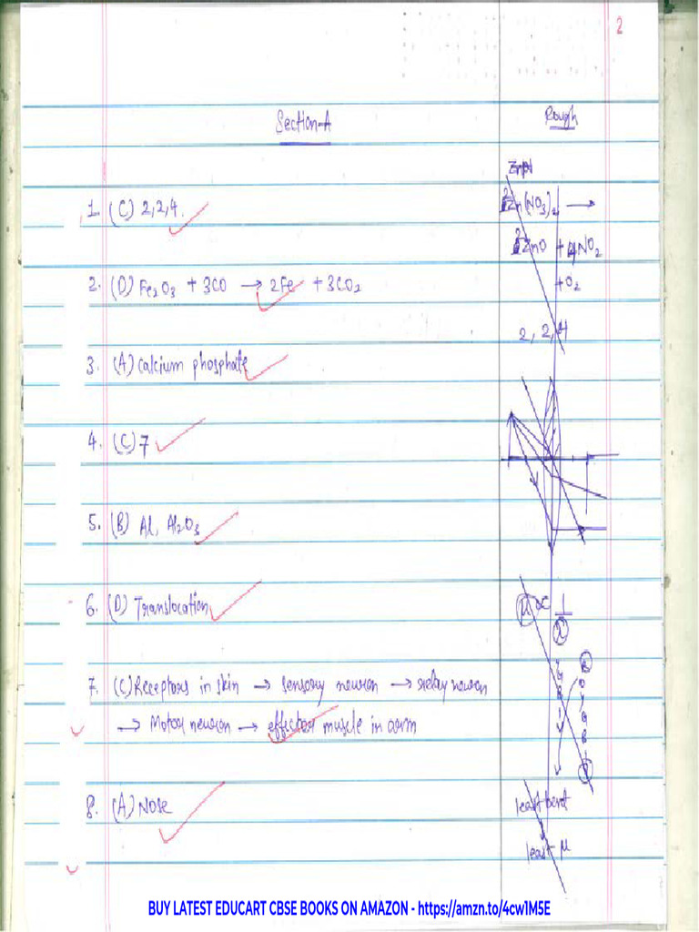 2024 CBSE 10 Science Topper Answer Sheet | PDF