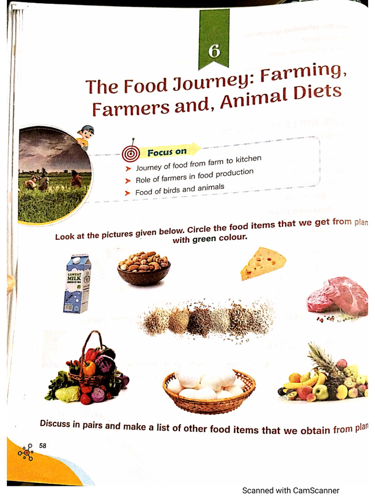 The Food Journey Farming, Farmers and Animal Diets | PDF