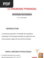 Syndrome pyramidal : définitions et signes | PDF | Nerf | Accident ...