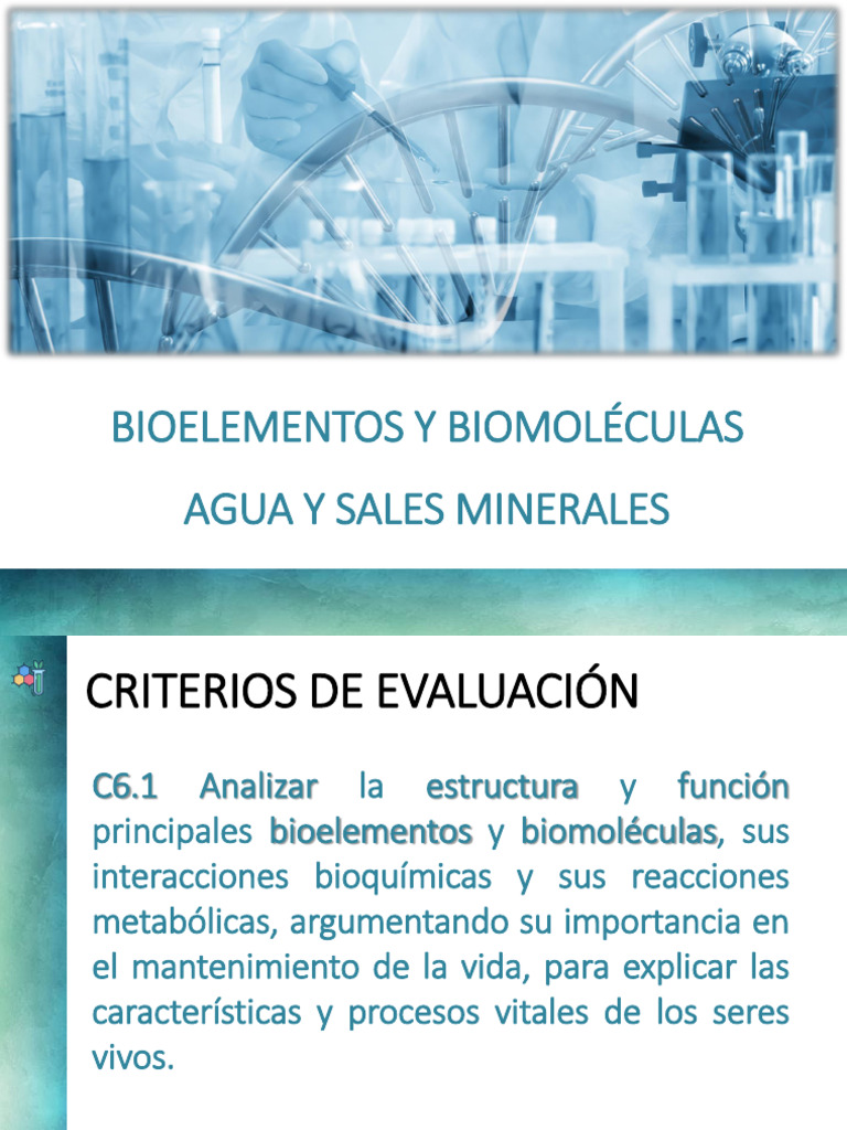 T1 - Bioelementos y Biomoleculas - Agua - Sales Minerales | PDF | Enlace químico | Átomos