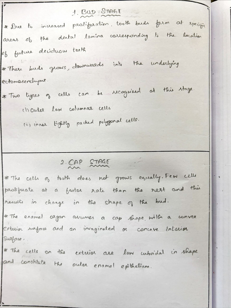 Oh Notes | PDF