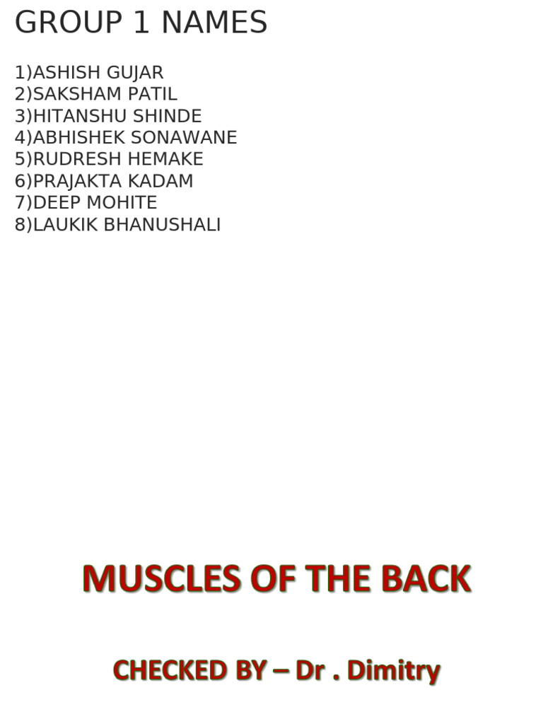 L5-Muscles of Back2013 | PDF | Human Anatomy | Primate Anatomy