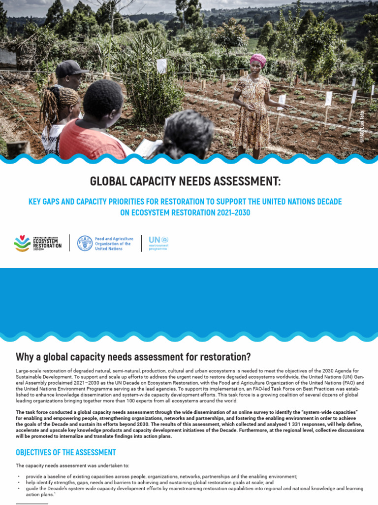 Global Capacity Needs for Ecosystem Restoration | PDF | Capacity ...