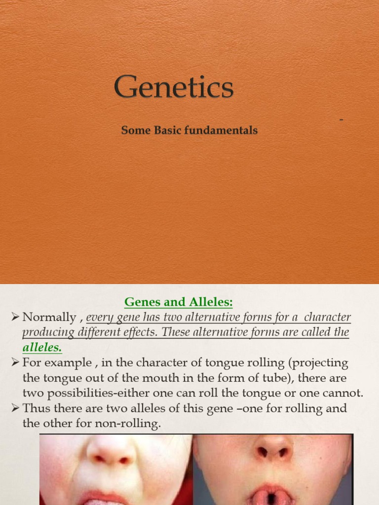CH 3 Genetics Some Basic Fundamentals 2 1720011333 | PDF | Dominance ...