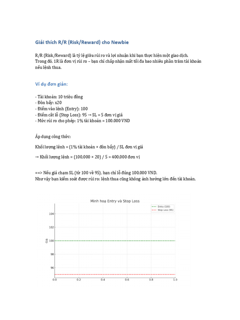 Giai Thich RR Cho Newbie | PDF