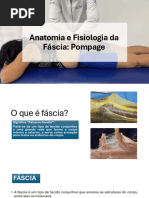 Técnica de Pompage em Fisioterapia | PDF | Coluna vertebral | Joelho