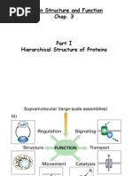 Coagulation Factor Half-Lives Overview | PDF | Coagulation | Blood Proteins