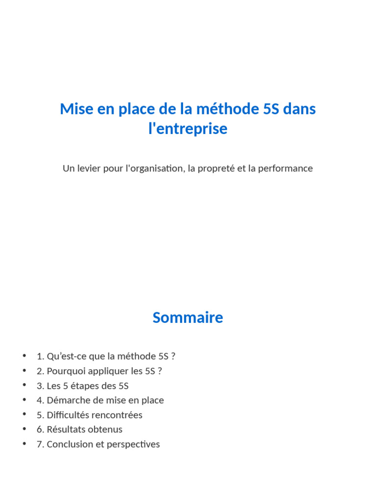 Méthode 5S : Optimiser l'Organisation | PDF