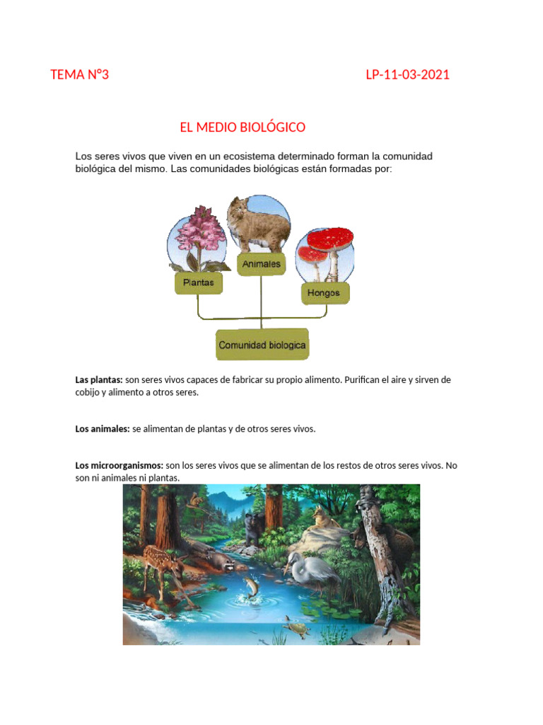 Tema N.3 El Medio Biologico | PDF