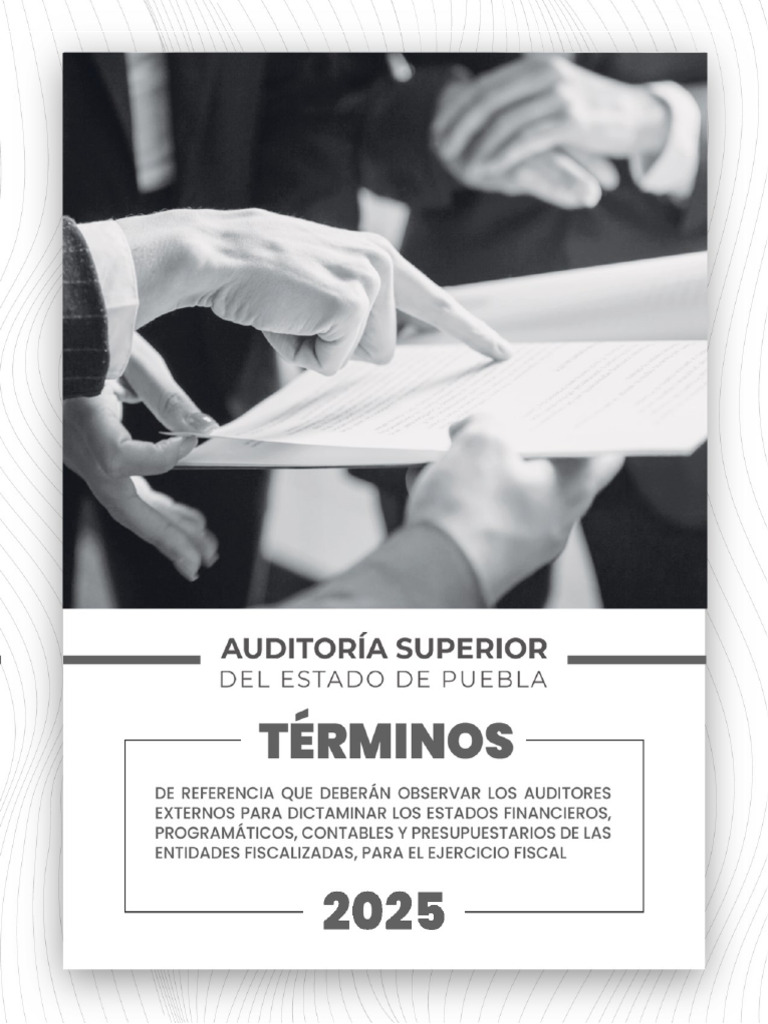 Términos de Referencia Auditoría 2025 | PDF | Auditoría | Estado financiero