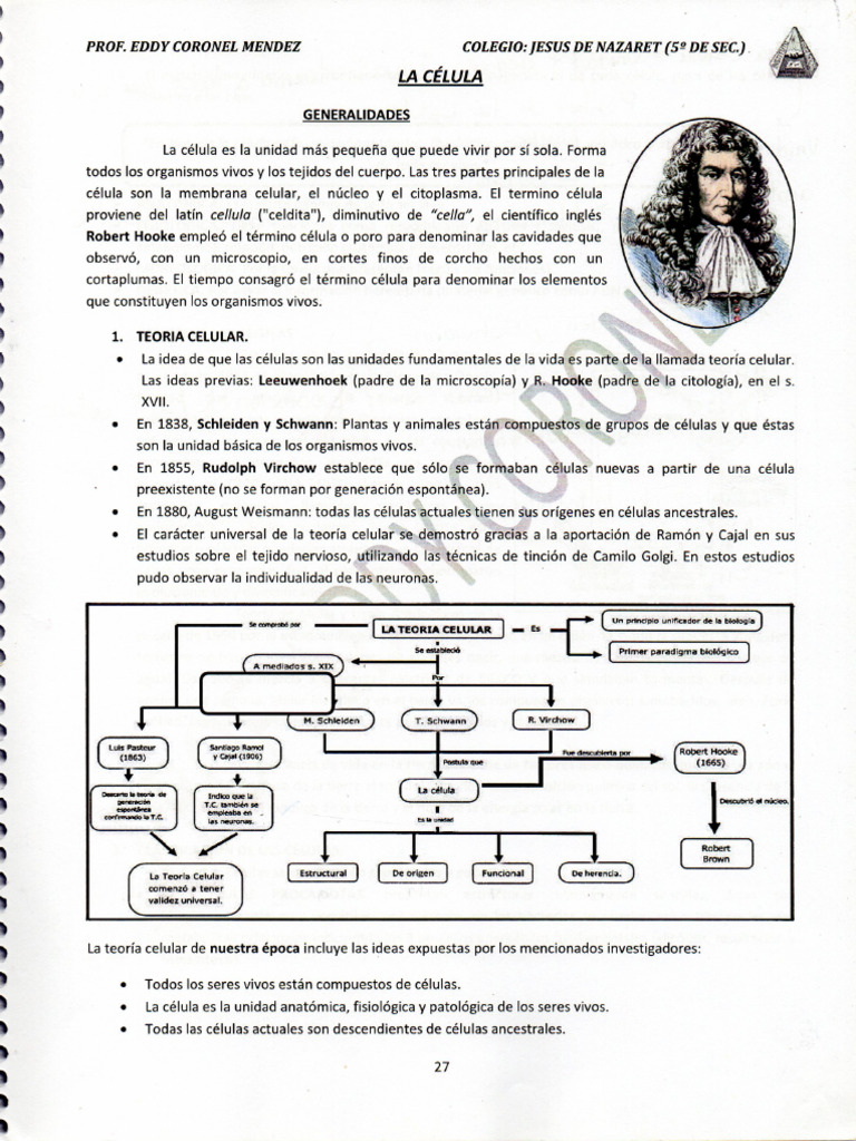 Biology Book 3A | PDF