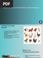 Pagsaing NG Bigas | PDF