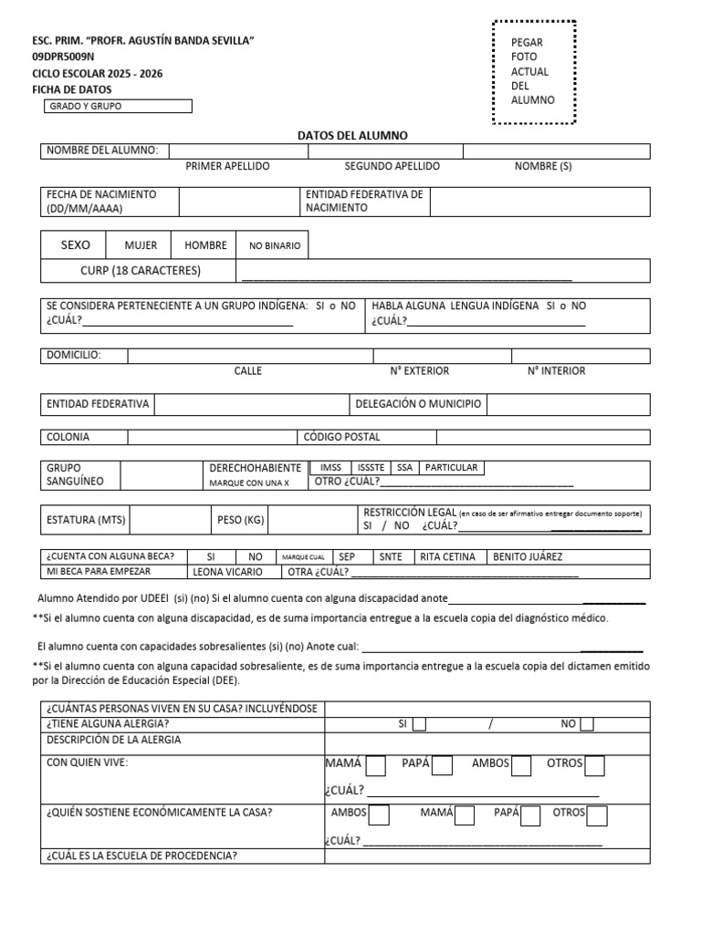 Ficha de Datos | PDF