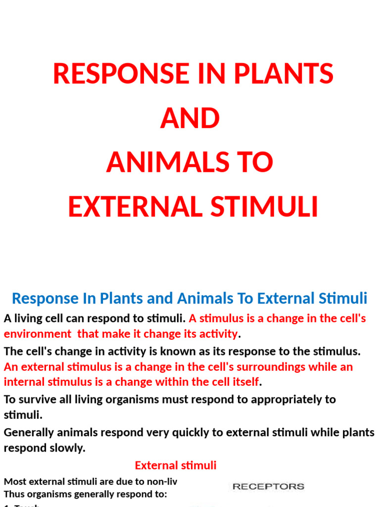 Response in Plants and Animals | PDF | Plants | Botany