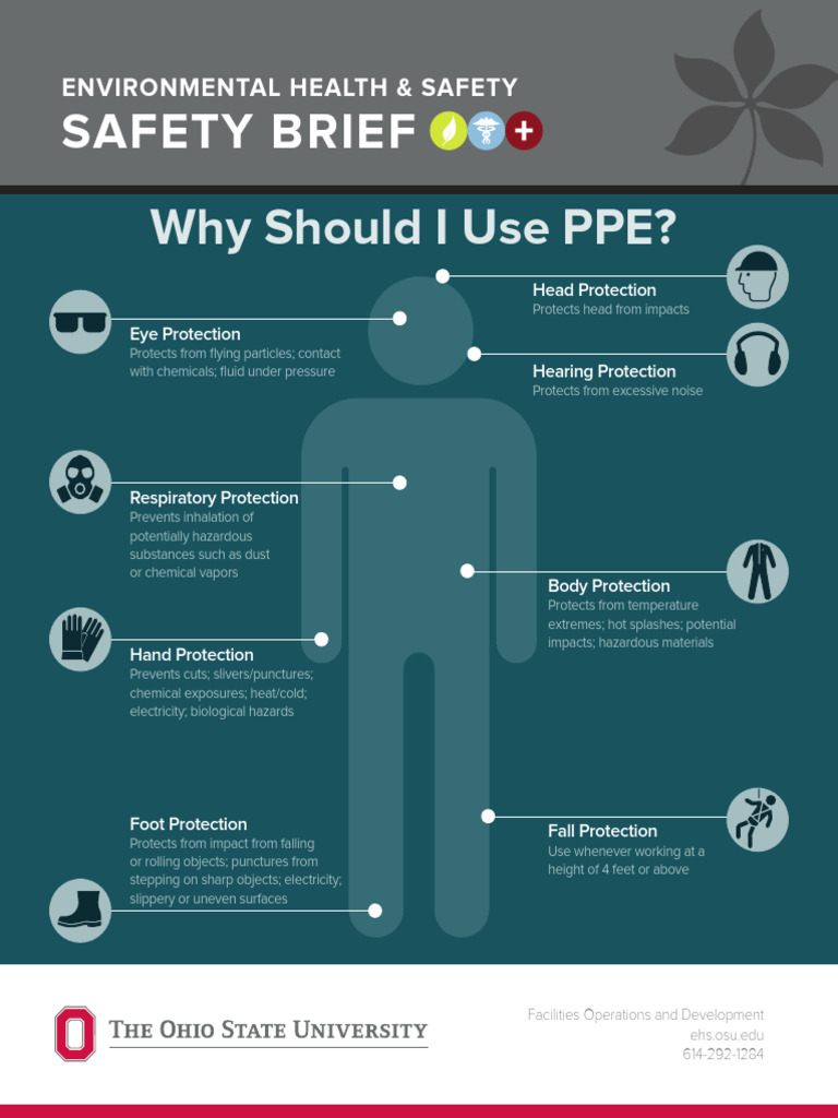 Essential PPE Guidelines for Safety | PDF