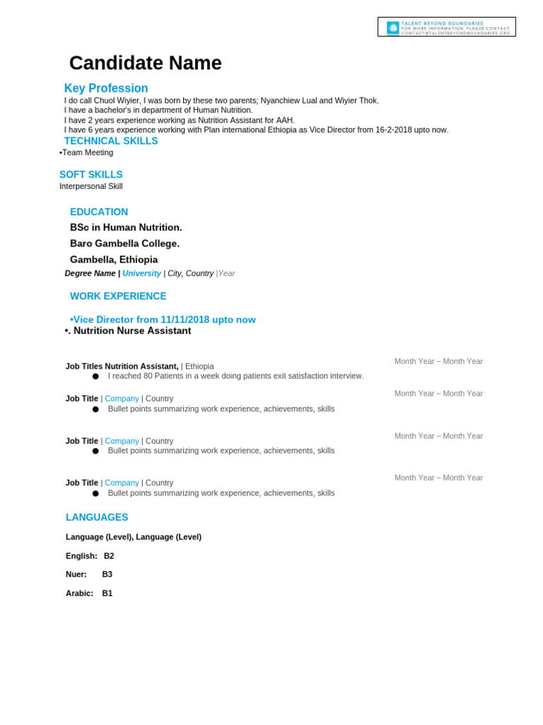 CV+Template+Word+Version 2chi | PDF