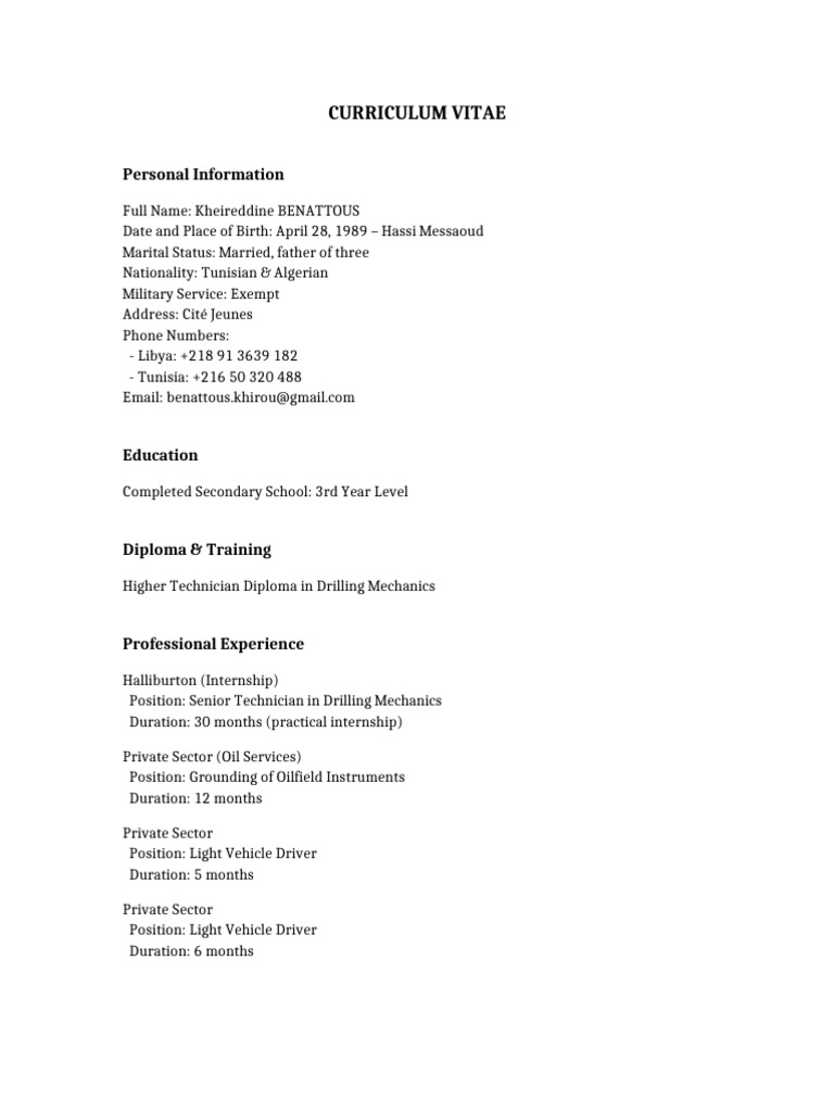 Kheireddine BENATTOUS CV English | PDF