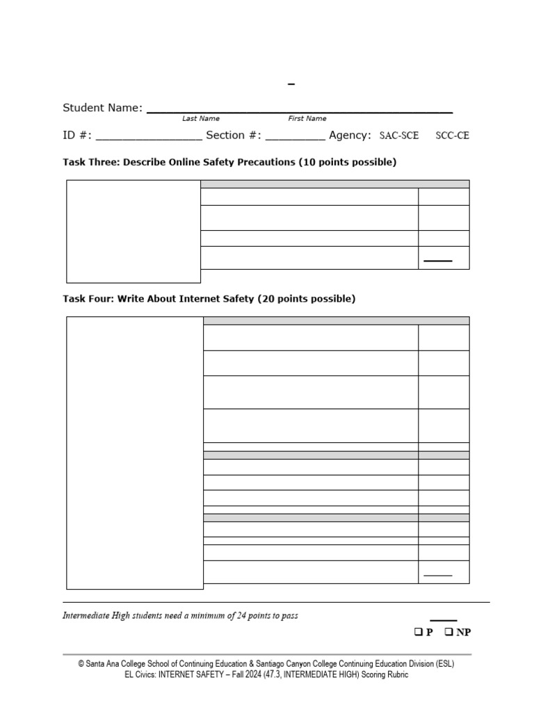 47.3 Internet Safety IH Scoring Rubric | PDF