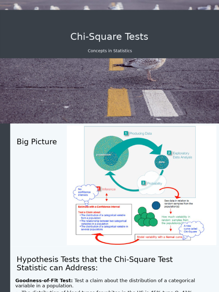 Understanding Chi-Square Tests in Statistics | PDF | Chi Squared Test ...