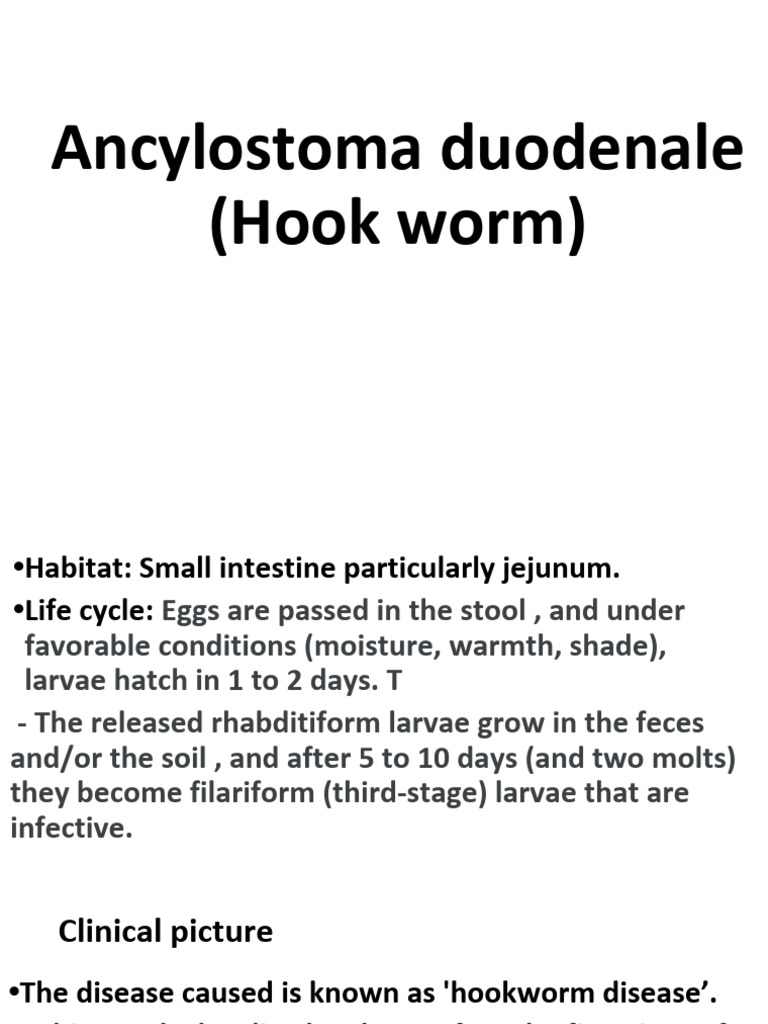 'Pinworm, Guinea Worm, Hookworm' | PDF | Medical Specialties | Diseases ...