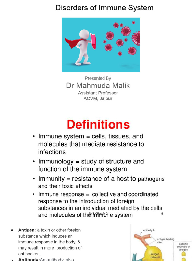 Immune System Disorders Explained | PDF | Immune System | T Cell