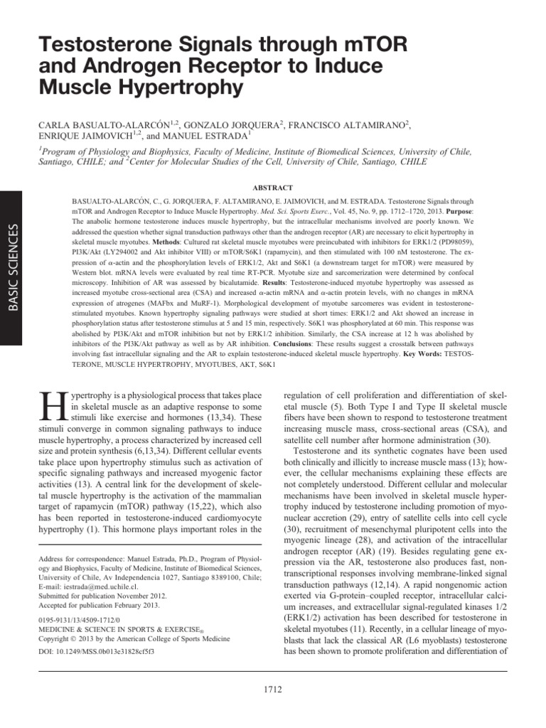 Testosterone, mTOR, and Muscle Growth | PDF | Protein Kinase B ...