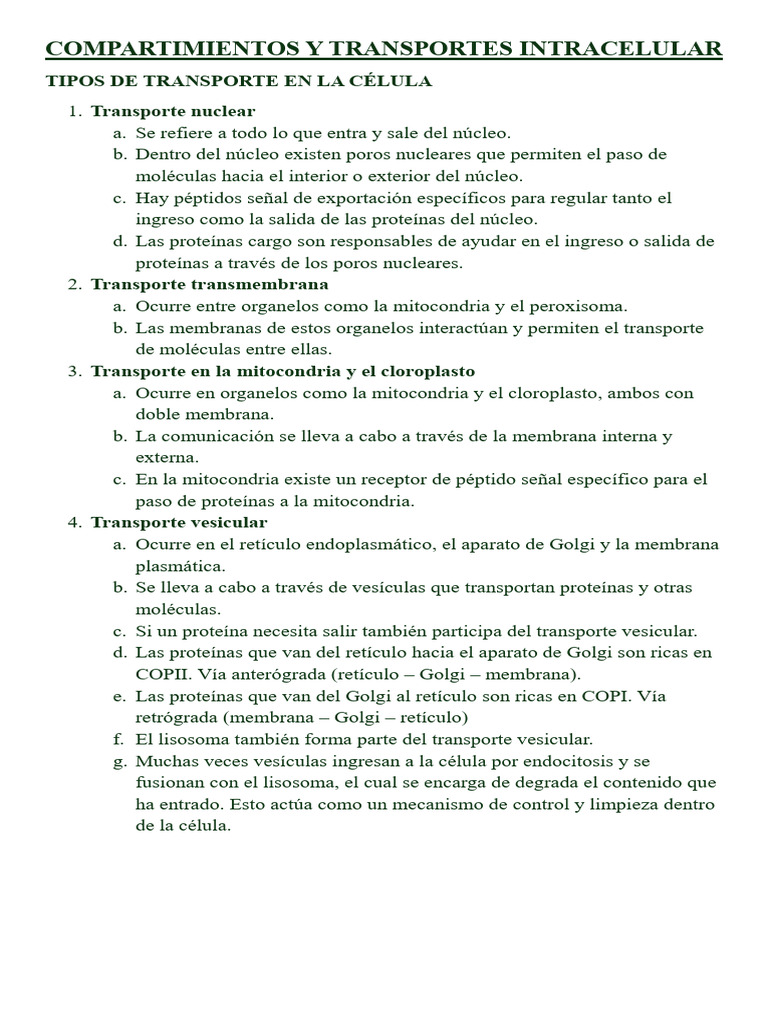 Transporte y Síntesis de Proteínas Celulares | PDF | Retículo ...