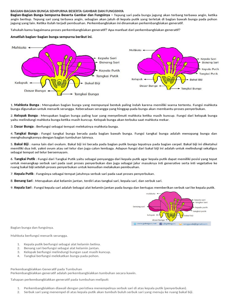 Bagian dan Perkembangbiakan Bunga | PDF