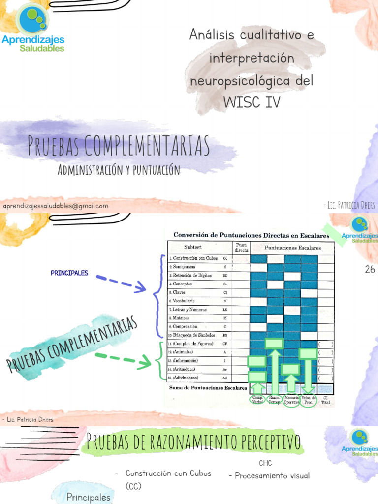 WISC IV Adm y Punt Complementarias 2.0 | PDF | Cognición | Neurociencia