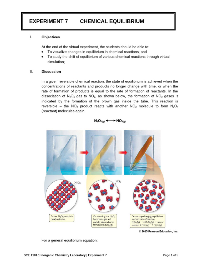 Experiment 7 Chemical Equilibrium | PDF | Chemical Equilibrium | Reaction Rate