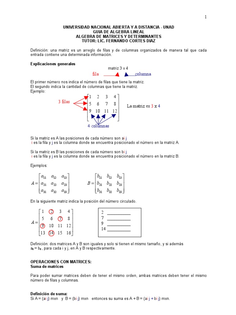 Algebra de Matrices A | PDF | Determinante | Matriz (Matemáticas)