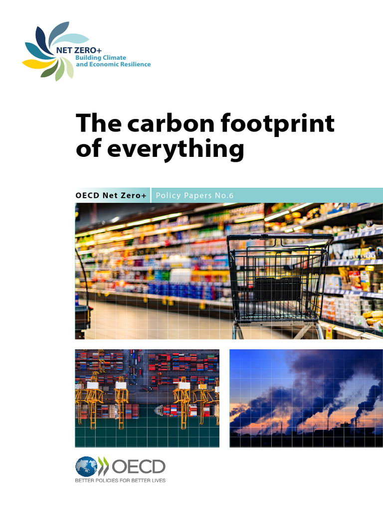 Understanding Carbon Footprints for Action | PDF | Carbon Footprint ...