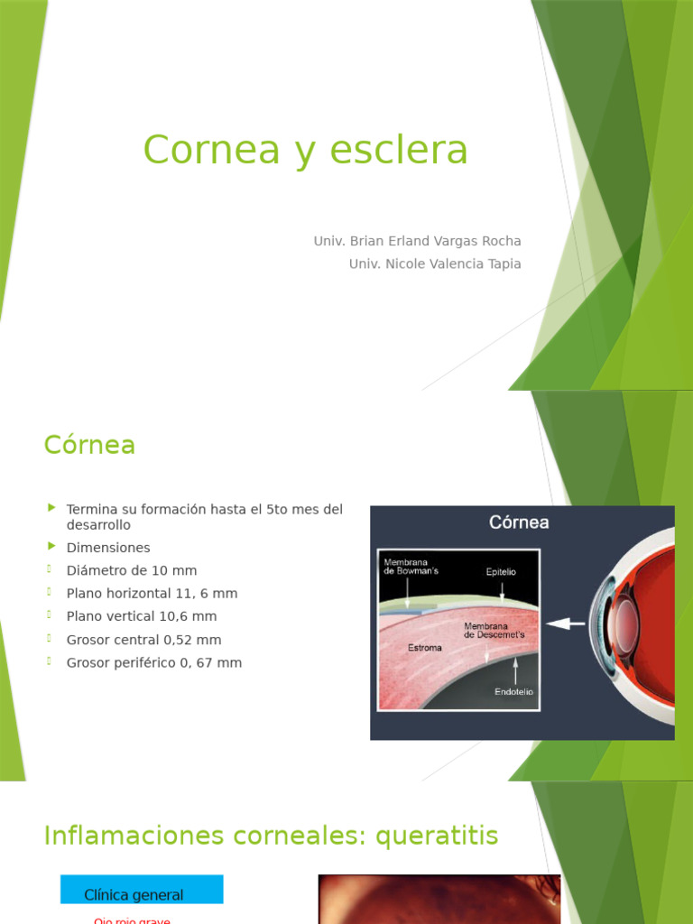 Cornea y Esclera Presentación 2 (1) - Solo Lectura | PDF | Córnea | Inflamación