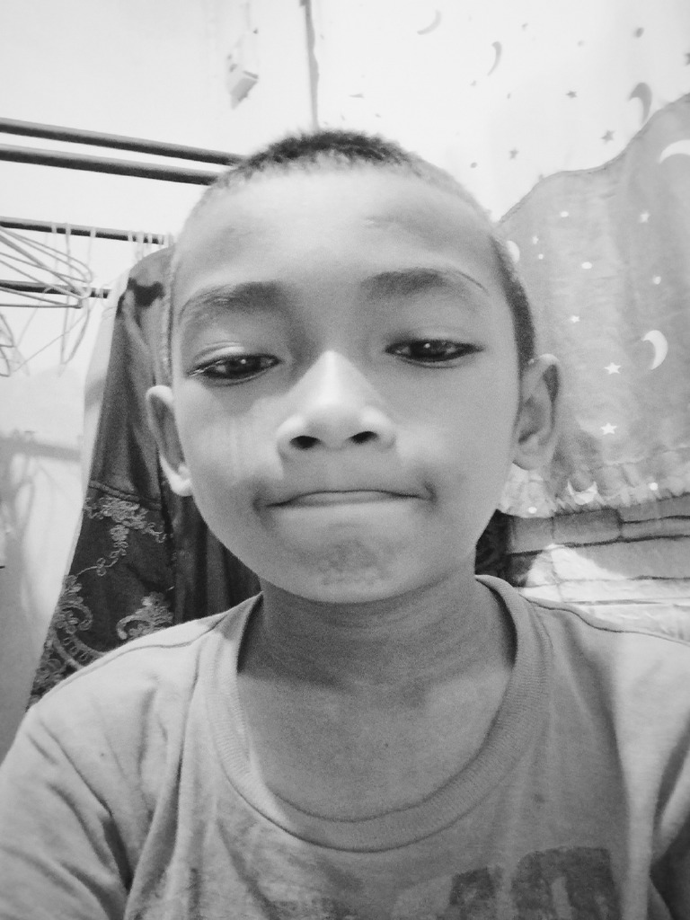 Downloadfile Bin | PDF