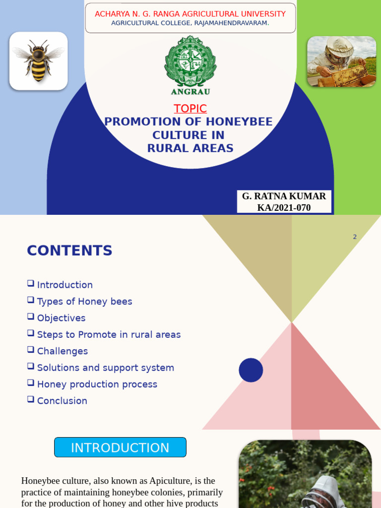 Promotion of Honey Bee Culture in Rural Areas | PDF | Honey Bee ...