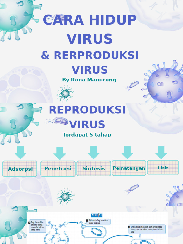 Pertemuan 2 Cara Hidup & Reproduksi Virus | PDF
