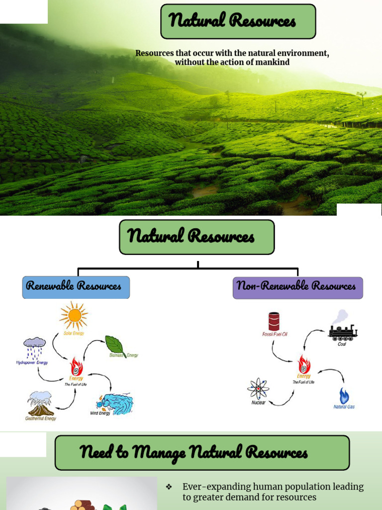 Sustainable Management of Natural Resources | PDF | Forests | Oxide
