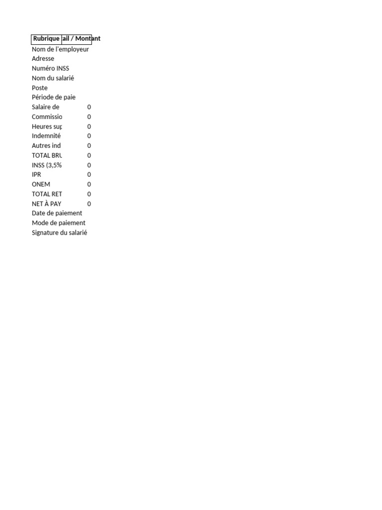 Modele Bulletin Paie RDC | PDF