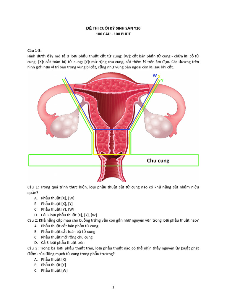Đề Thi Cuối Kỳ Sinh Sản y20 | PDF