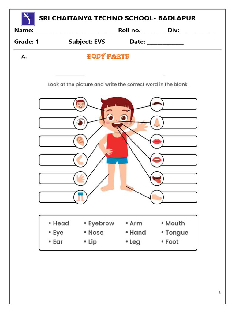 Class 1 EVS Worksheet on Body Parts | PDF